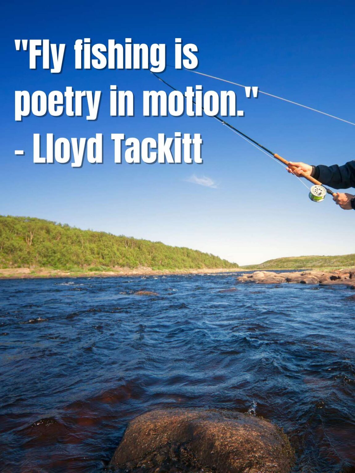 TOP Fly Fishing Quotes for Summer - Darling Quote