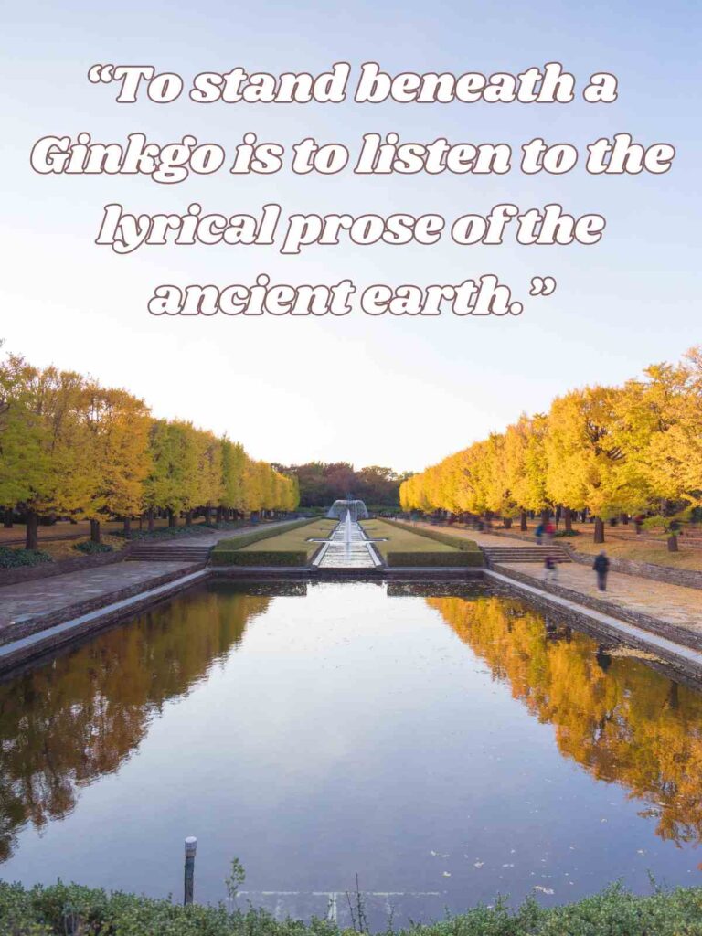 31 Whispers from the Past: Inspirational Ginkgo Tree Quotes - Darling Quote