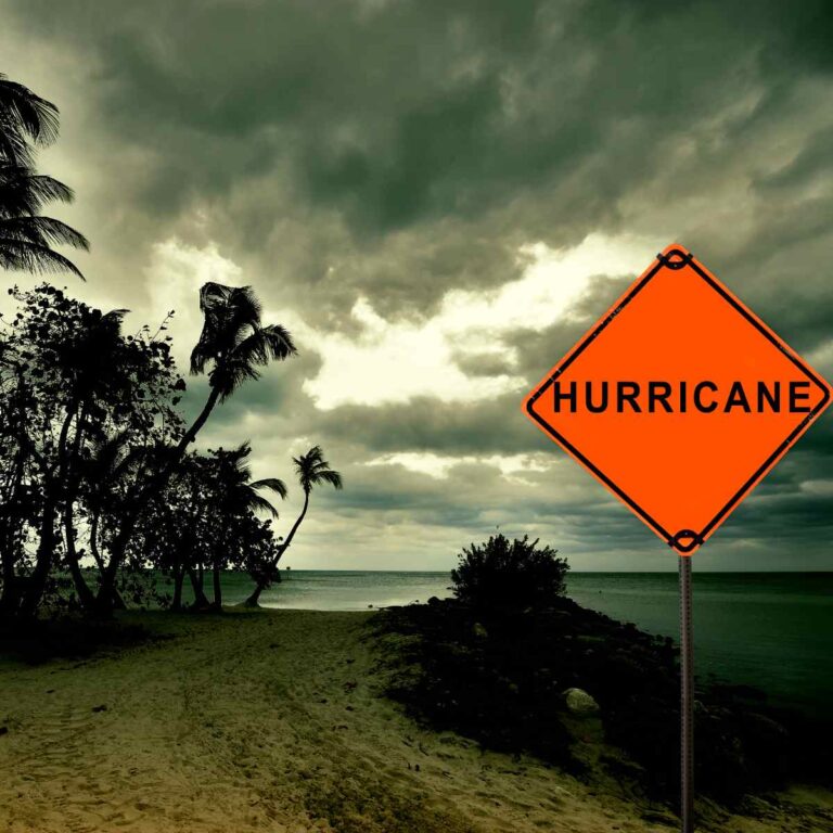 59+ Hurricane Quotes To Show The Power Of Mother Nature - Darling Quote