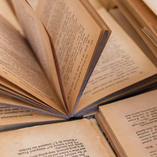 50 International World Literacy Day Quotes - Darling Quote