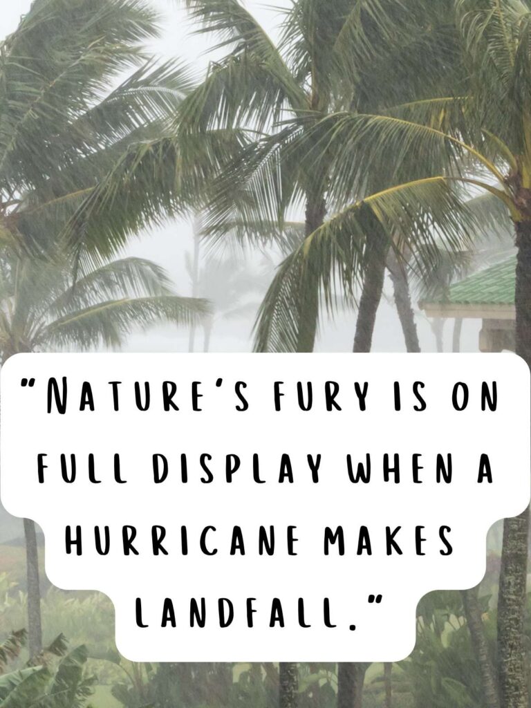 59+ Hurricane Quotes To Show The Power Of Mother Nature - Darling Quote