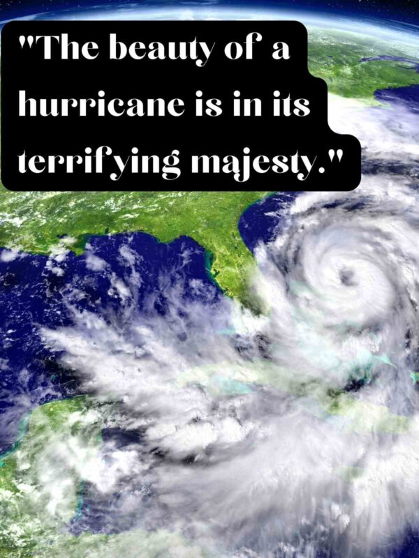 59+ Hurricane Quotes To Show The Power Of Mother Nature - Darling Quote