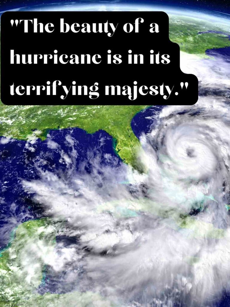 59+ Hurricane Quotes To Show The Power Of Mother Nature - Darling Quote