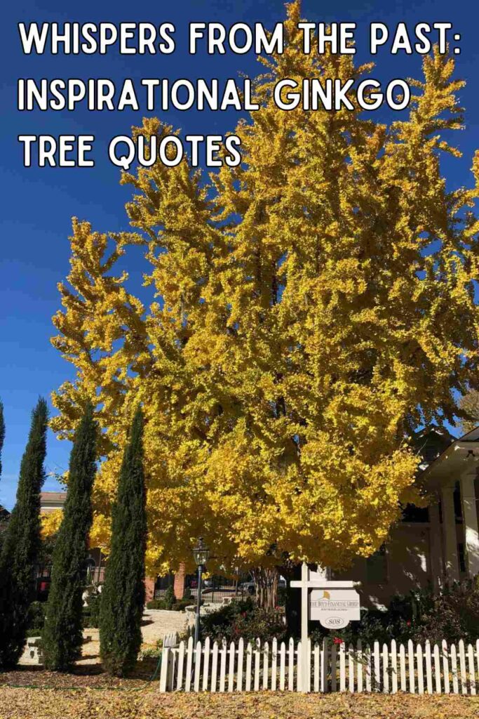 31 Whispers from the Past: Inspirational Ginkgo Tree Quotes - Darling Quote