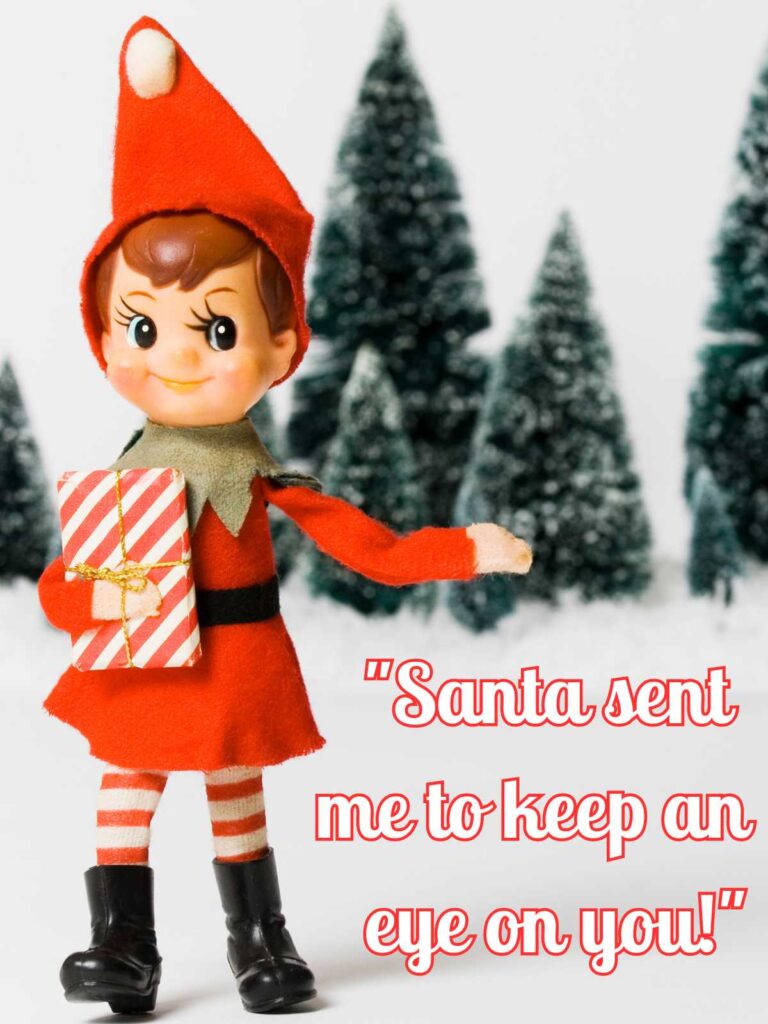 Elf on the Shelf Quotes To Celebrate The Holidays - Darling Quote