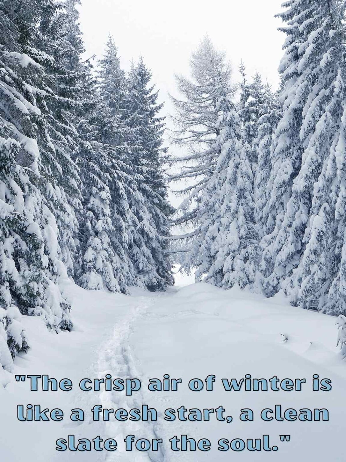 Winter Wonderland Quotes That Will Make You Swoon - Darling Quote