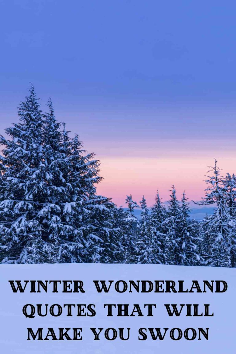 Winter Wonderland Quotes That Will Make You Swoon - Darling Quote