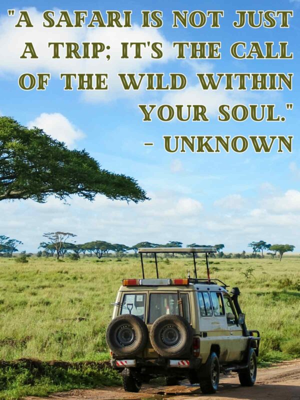 39+ Exciting African Safari Quotes - Darling Quote