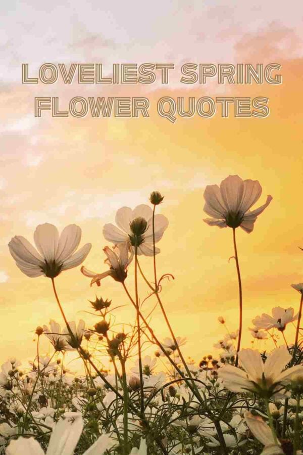 75 Loveliest Spring Flower Quotes - Darling Quote