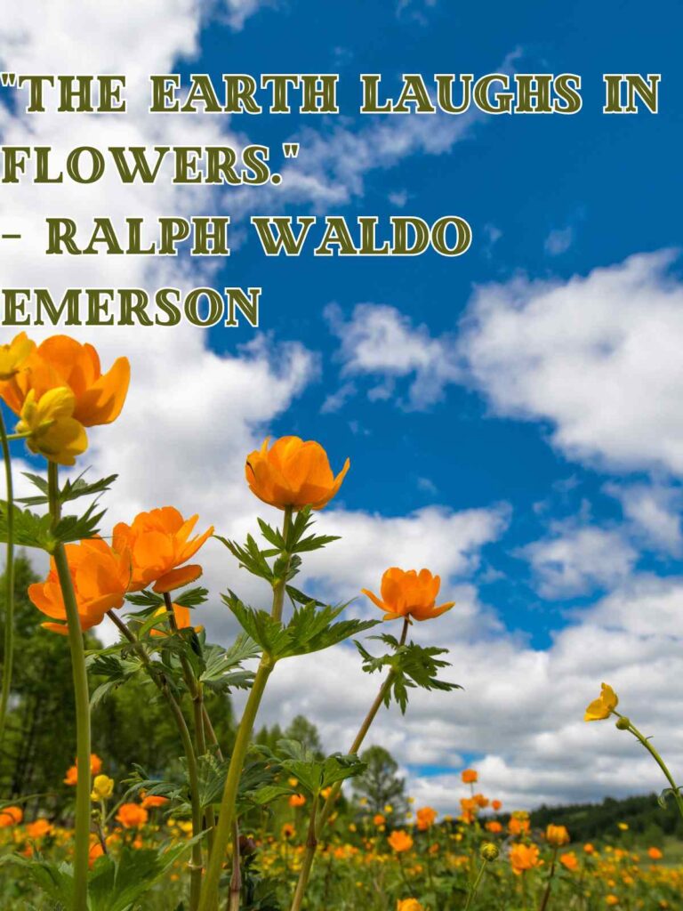 75 Loveliest Spring Flower Quotes - Darling Quote