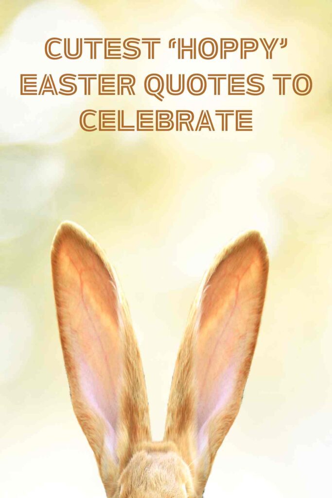 CUTEST "Hoppy" Easter Quotes To Celebrate - Darling Quote