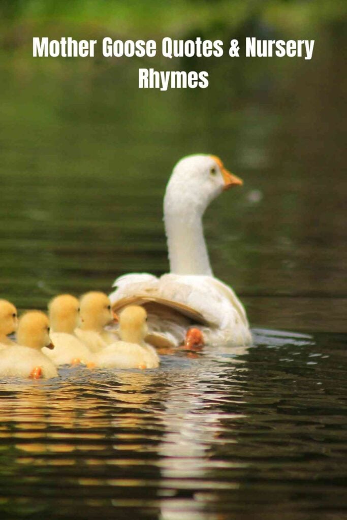 63+ Mother Goose Quotes & Nursery Rhymes - Darling Quote