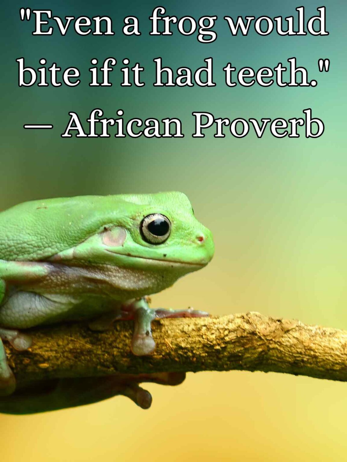 52 Famous Frog Quotes - Darling Quote