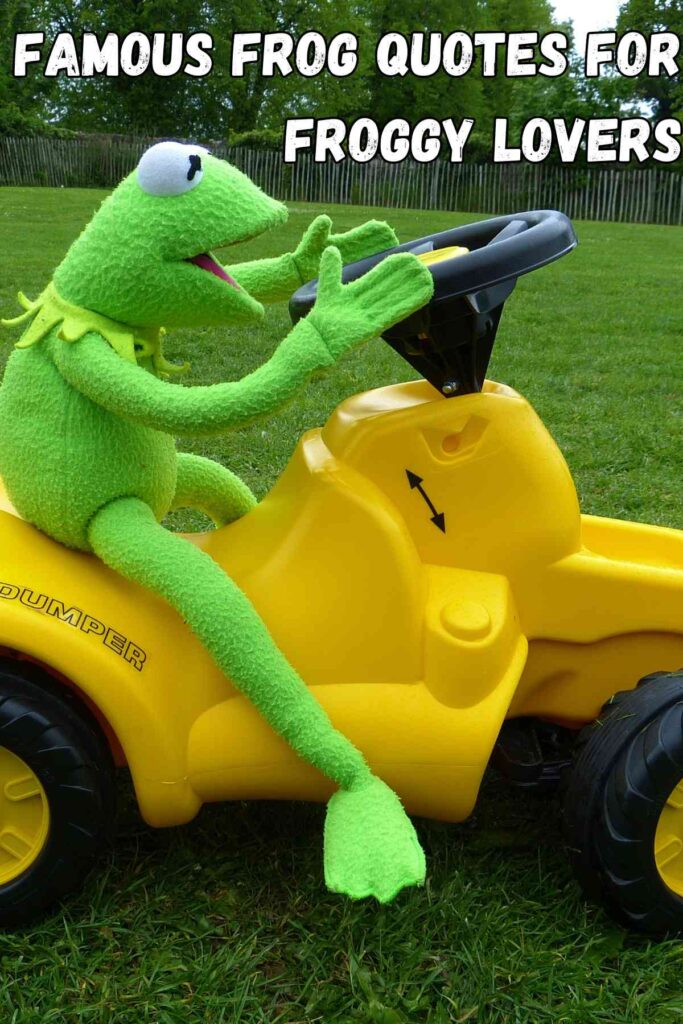 52 Famous Frog Quotes - Darling Quote