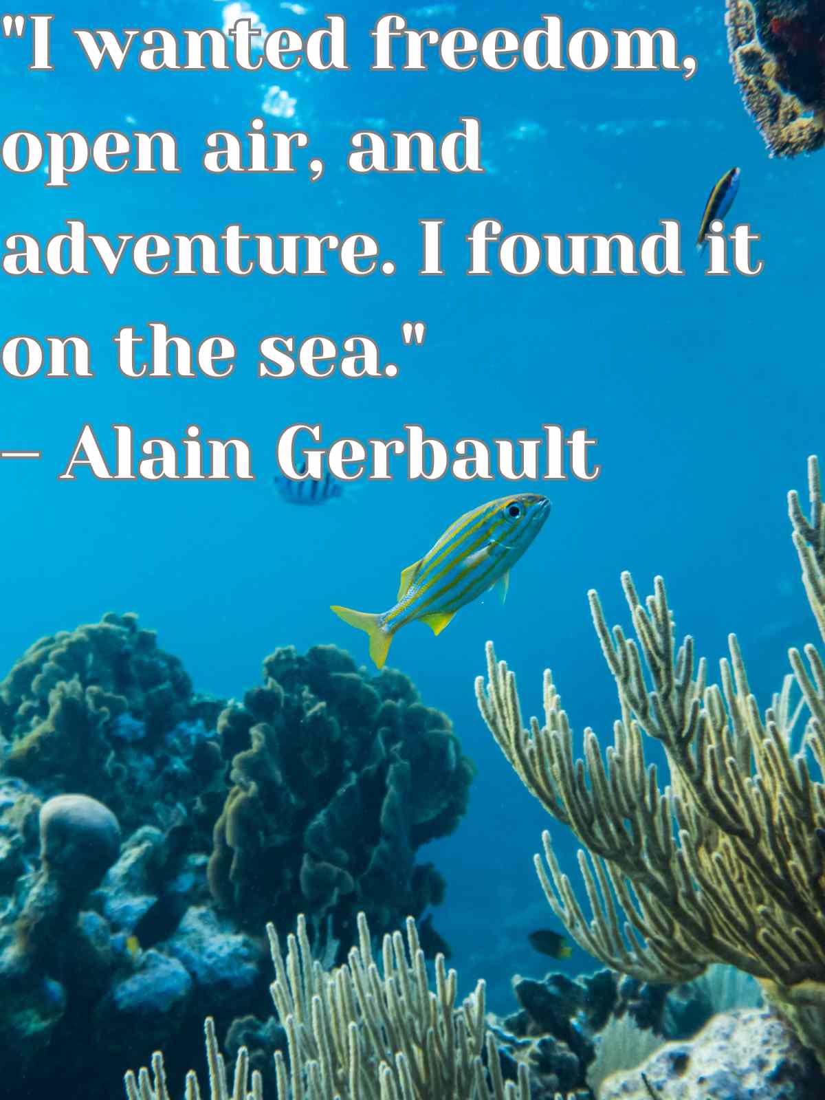 Breathtakingly Beautiful Ocean Quotes - Darling Quote