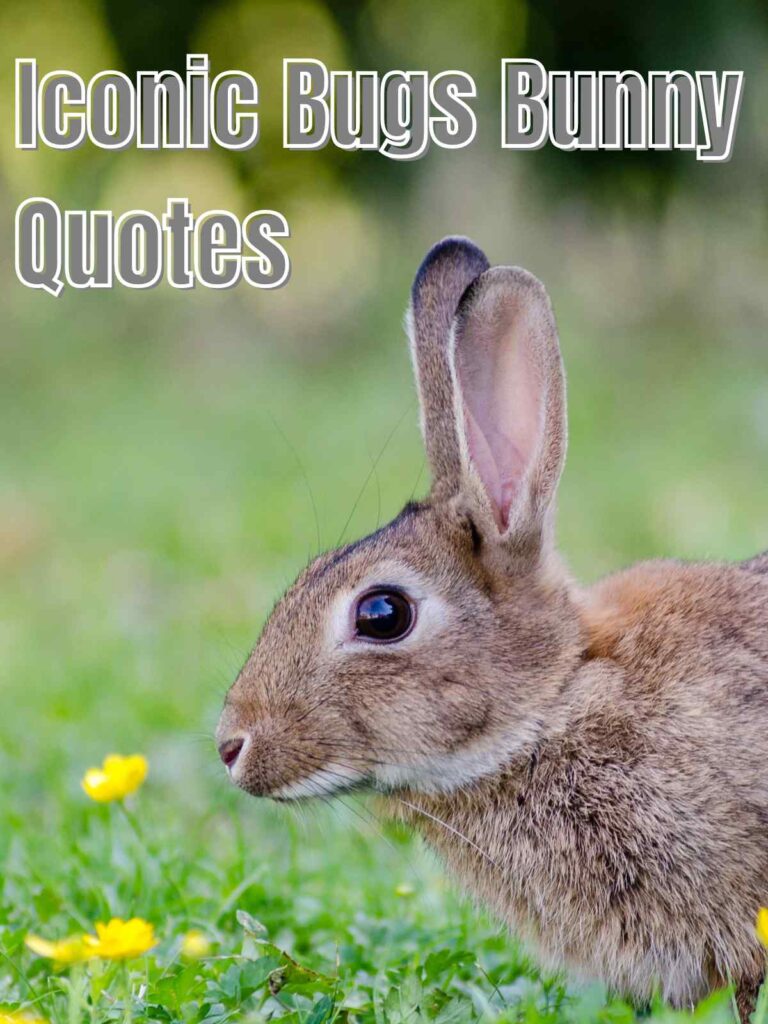 Iconic Bugs Bunny Quotes - Darling Quote