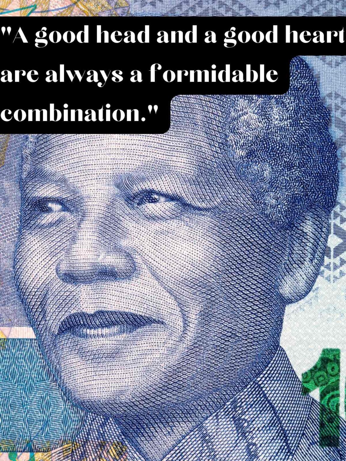 Top Nelson Mandela Quotes That Drip with Wisdom - Darling Quote