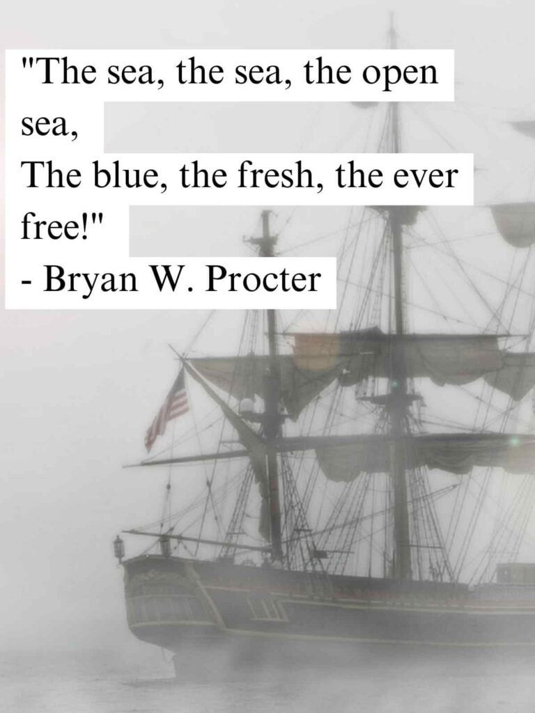 71 Infamous Pirate Quotes NOT for Land Lovers - Darling Quote