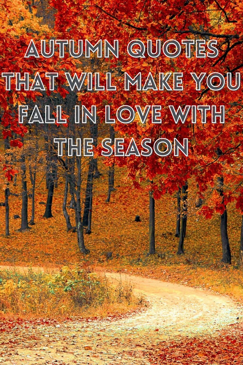 57+ Autumn Quotes That Will Make You FALL In Love with the Season ...
