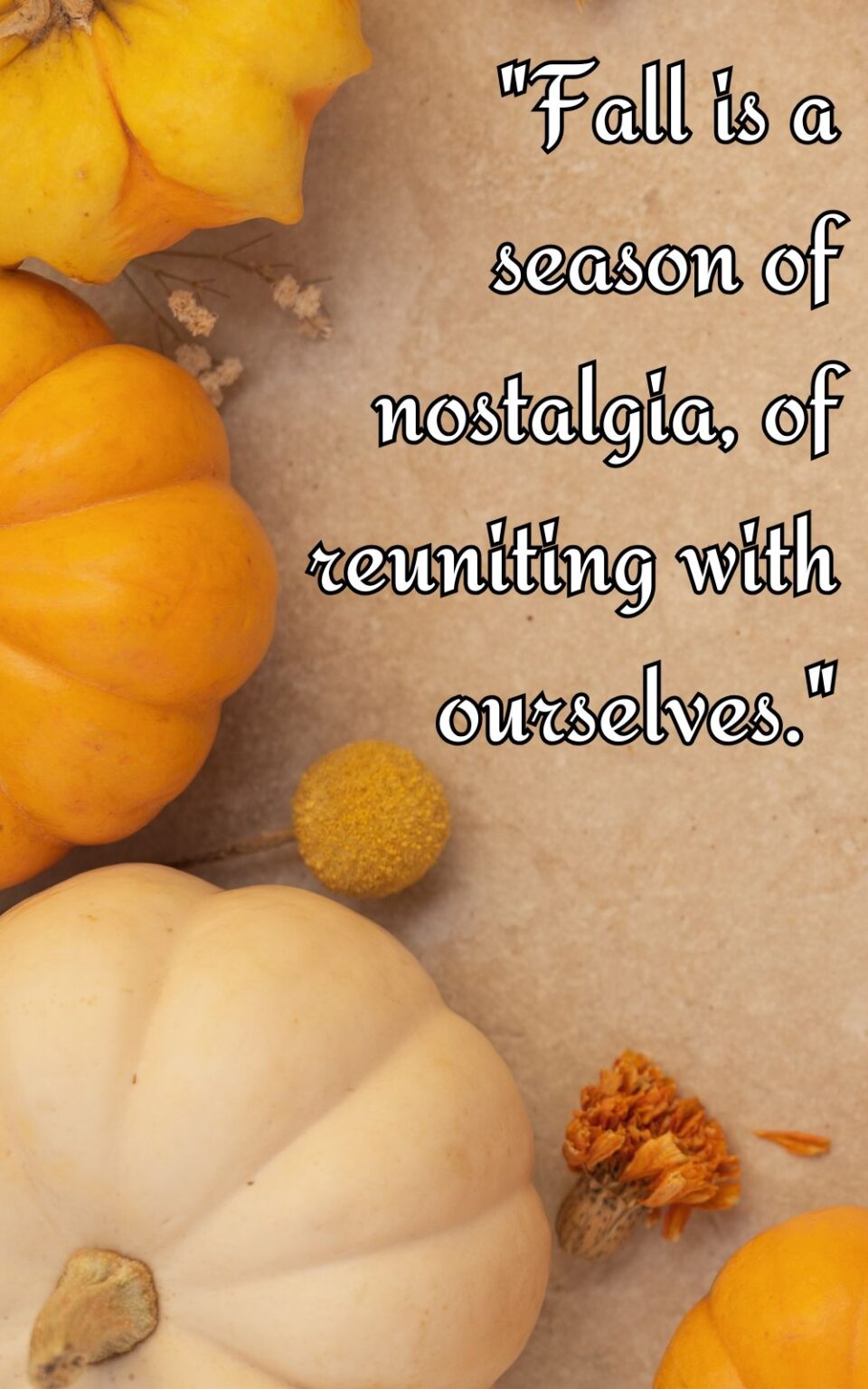 57+ Autumn Quotes That Will Make You FALL In Love with the Season ...