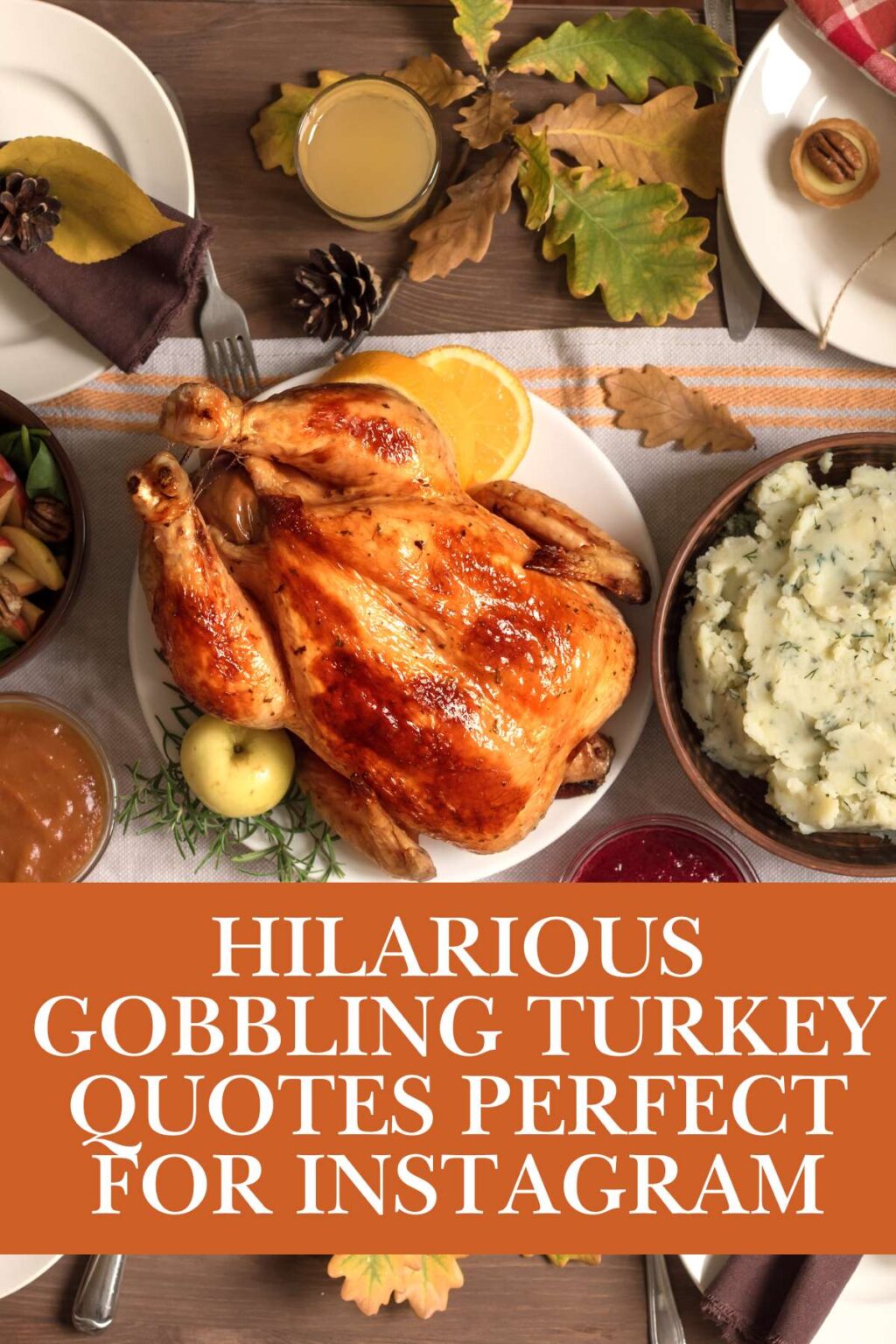 85 HILARIOUS Gobbling Turkey Quotes - Darling Quote