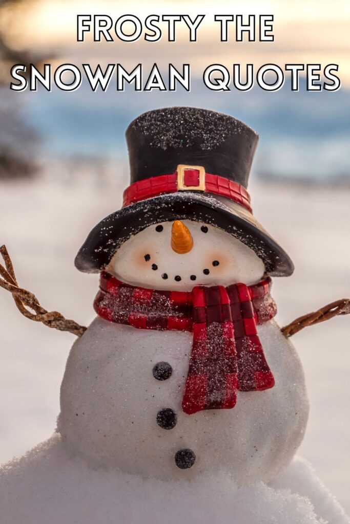 Frosty the Snowman Quotes to Melt Your Heart This Season - Darling Quote