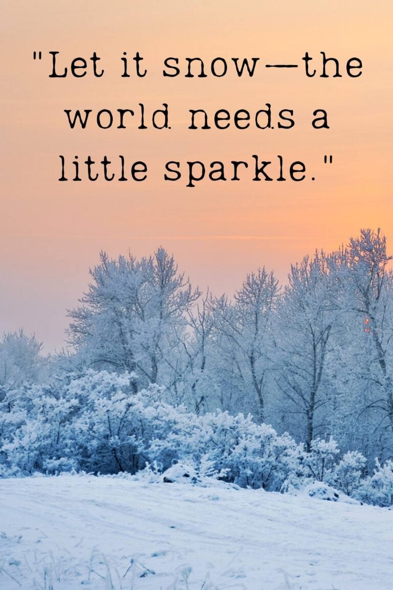 81 Let It Snow Quotes That Will Make Your Heart Flurry - Darling Quote