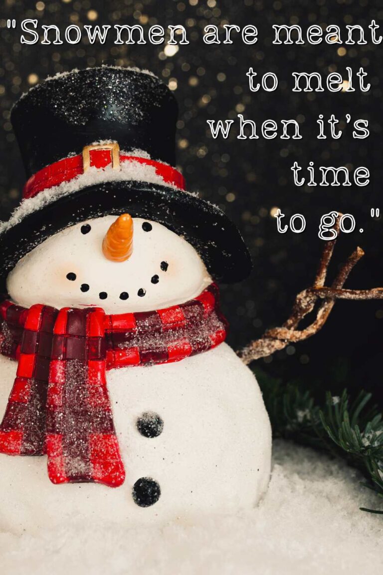 Frosty the Snowman Quotes to Melt Your Heart This Season - Darling Quote