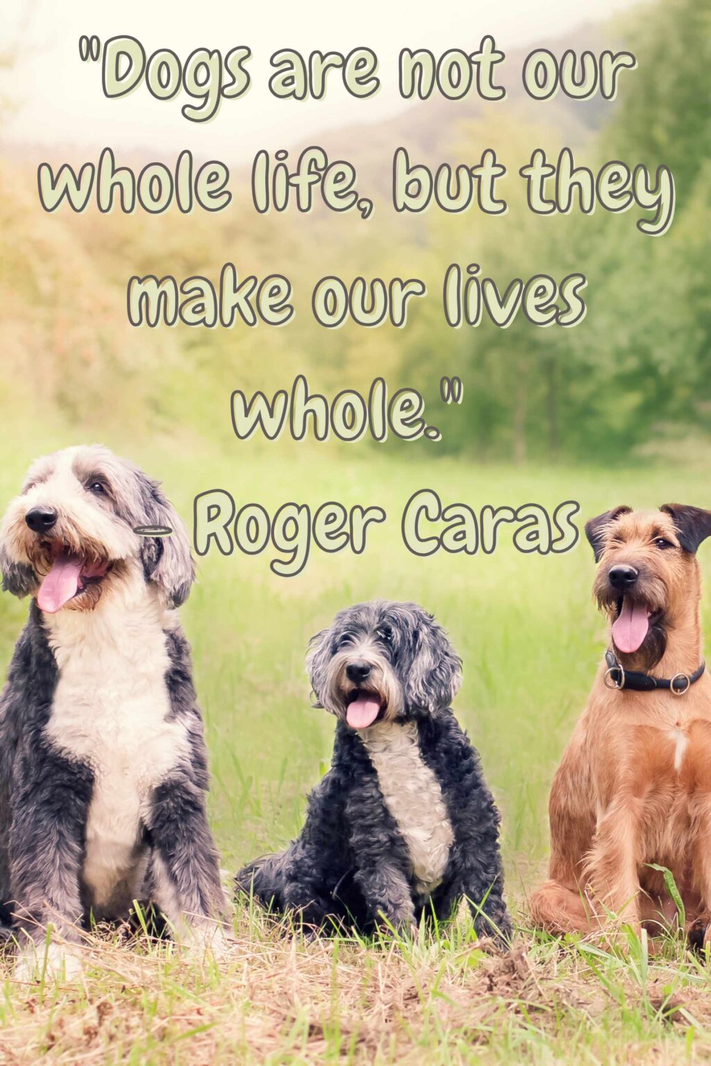 Famous Dog Quotes That Celebrate Man’s Best Friend - Darling Quote