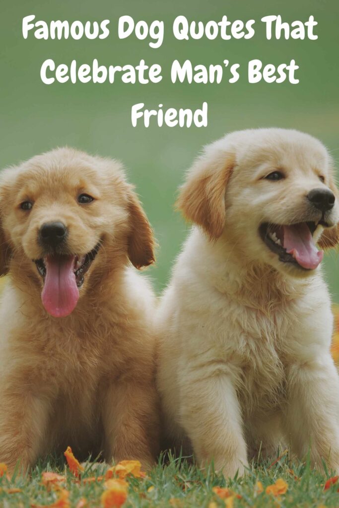 Famous Dog Quotes That Celebrate Man’s Best Friend - Darling Quote