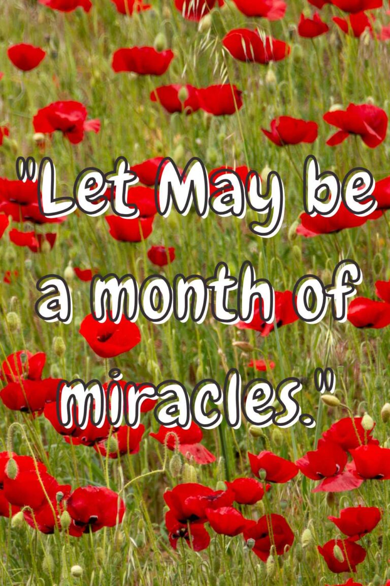 80 May Day Quotes to Celebrate Spring - Darling Quote