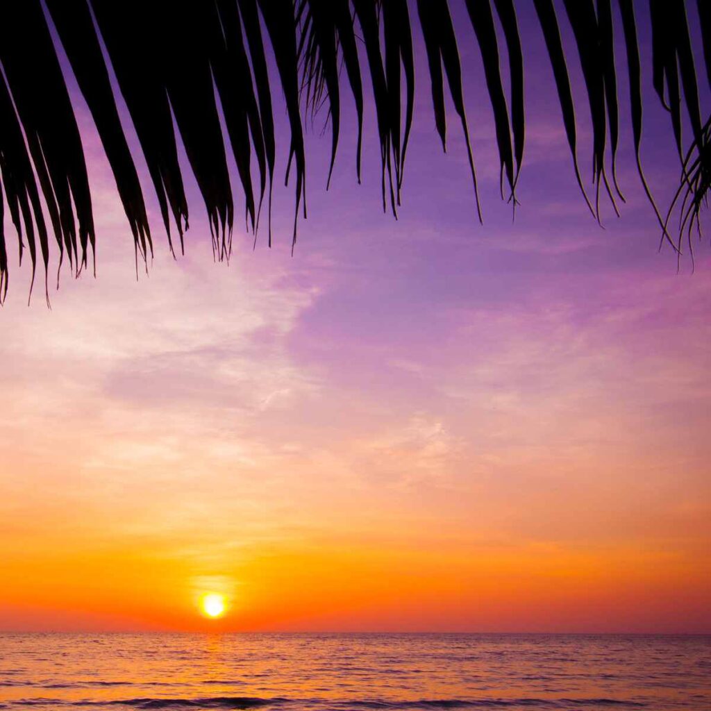 75 Romanticizing Life Quotes for Your Soft, Slow, and Beautiful Era ...