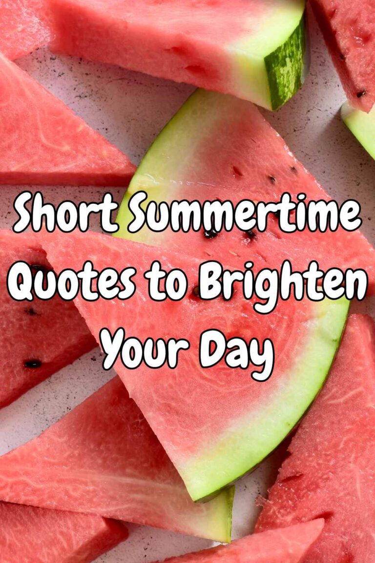 81+ Short Summertime Quotes to Brighten Your Day - Darling Quote