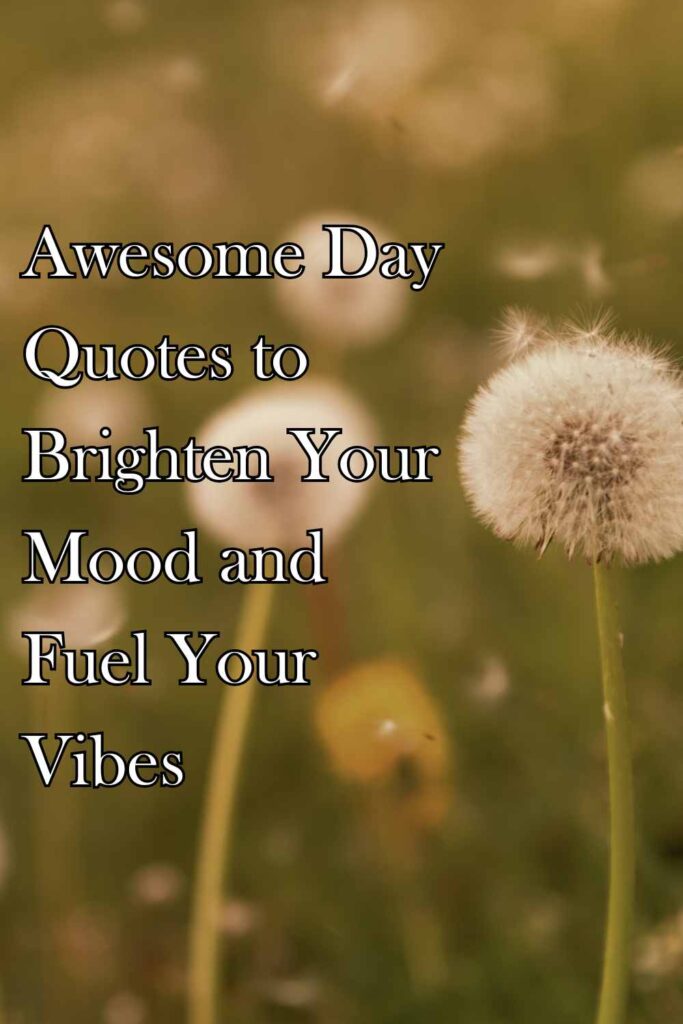 67+ Awesome Day Quotes to Brighten Your Mood and Fuel Your Vibes ...