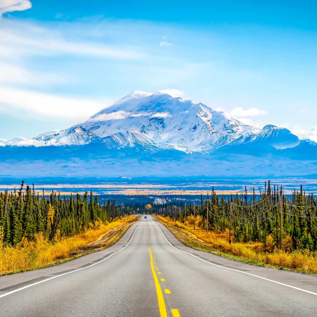 August Adventure Quotes to Inspire Your Summer Bucket List - Darling Quote