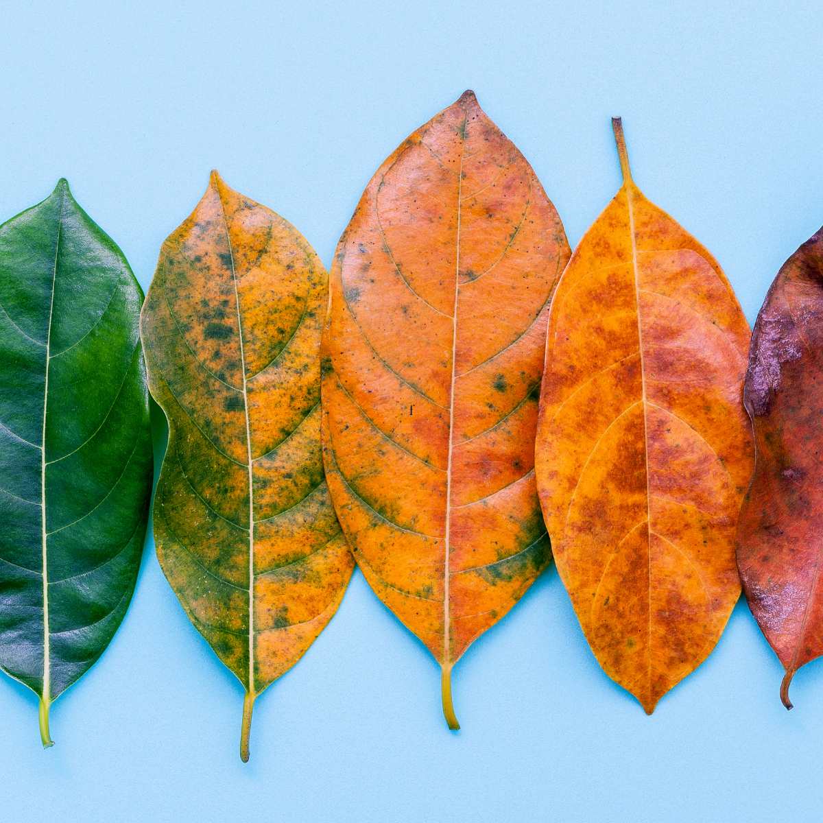 BEST Quotes About Change Just in Time for Fall - Darling Quote